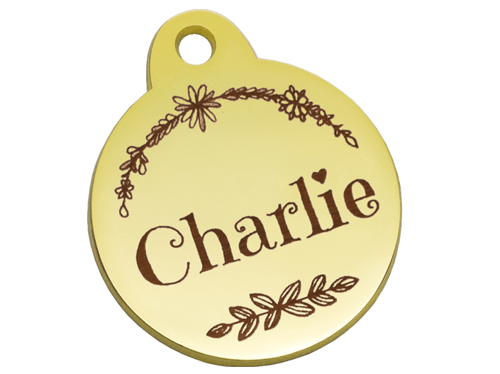 Pet licensing in Kingston | Home